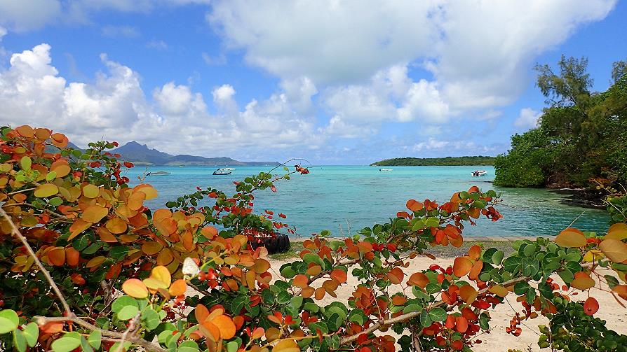 Blue Bay, Pointe d'Esny Pointe Jérome à l’île Maurice